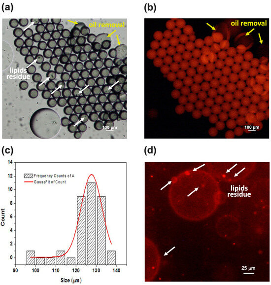 Glass Microdroplet Generator for Lipid-Based Double Emulsion Production