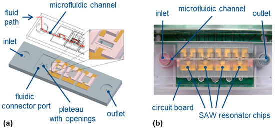 Surface Acoustic Wave Resonator Chip Setup for the Elimination of ...
