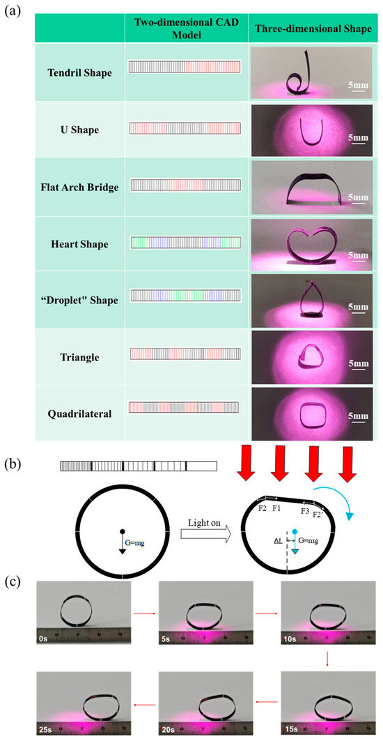 Light-Responsive Soft Robot Integrating Actuation and Function Based on Laser Cutting
