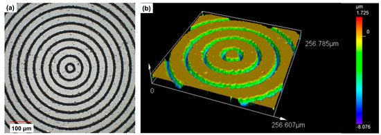 Extending the Depth of Focus of an Infrared Microscope Using a Binary ...