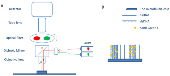 Low-Temperature and High-Efficiency Solid-Phase Amplification Based on ...