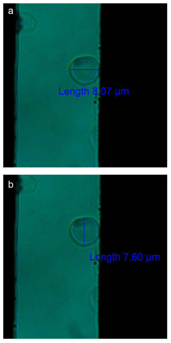 Mechanical Characterization of the Erythrocyte Membrane Using a ...