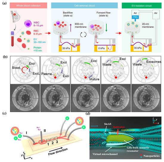 Recent Advances in Microfluidic-Based Extracellular Vesicle Analysis