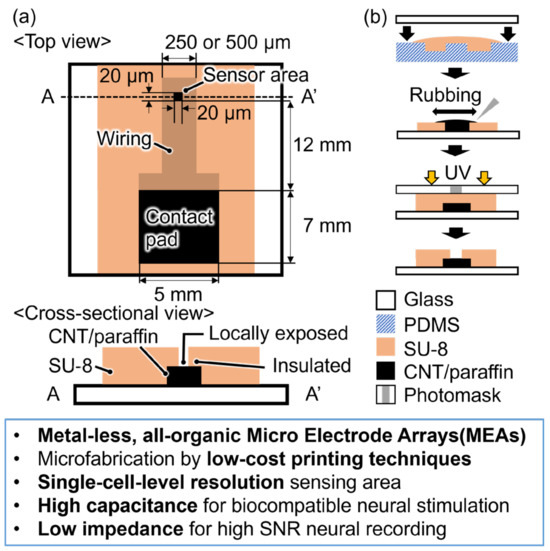 Carbon Nanotube-Based Printed All-Organic Microelectrode Arrays for Neural Stimulation and Recording