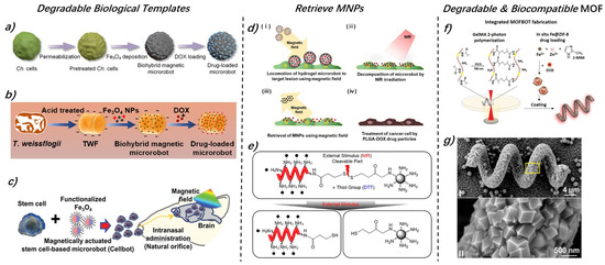 Magnetic Microrobots for In Vivo Cargo Delivery: A Review