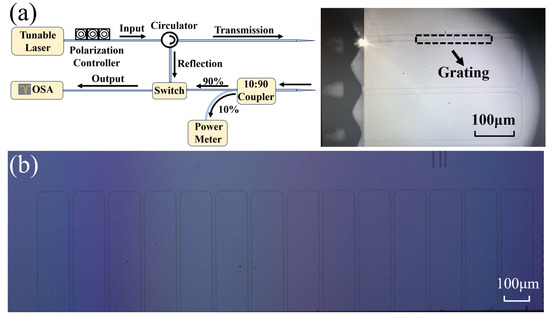 Sidewall Corrugation-Modulated Phase-Apodized Silicon Grating Filter