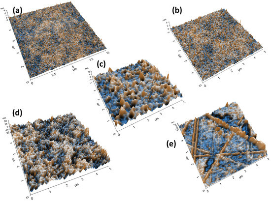 Influence of Surface Chemical and Topographical Properties on ...