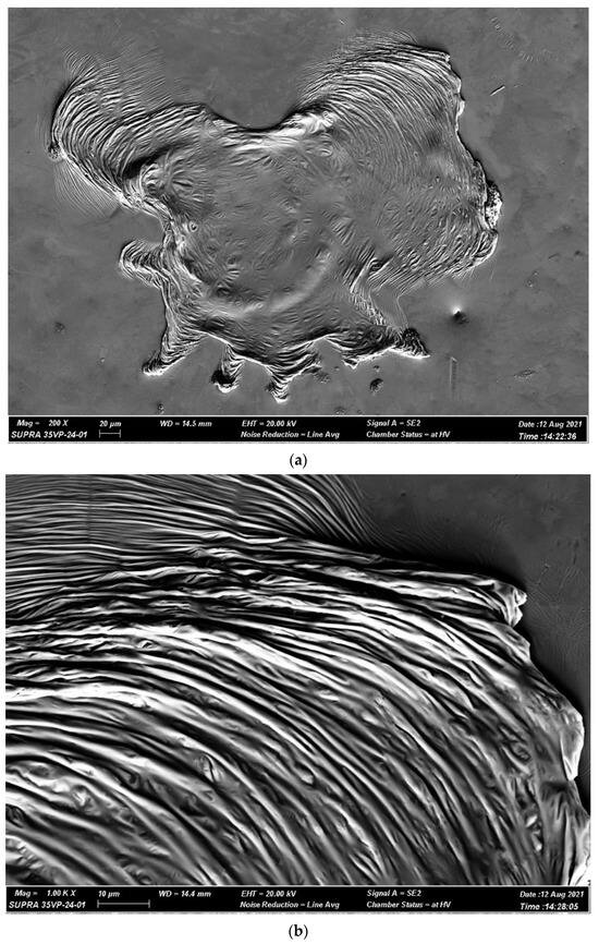 Multi-Scale Traditional and Non-Traditional Machining of Bulk Metallic ...