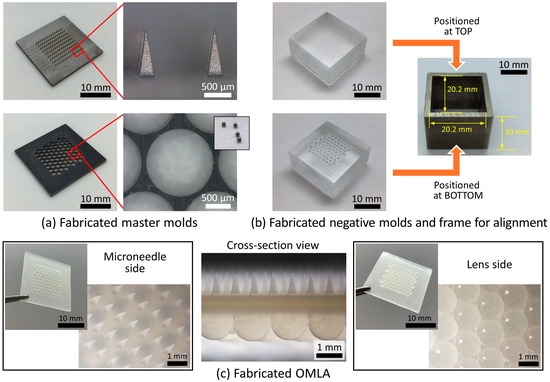 Optical Microneedle–Lens Array for Selective Photothermolysis