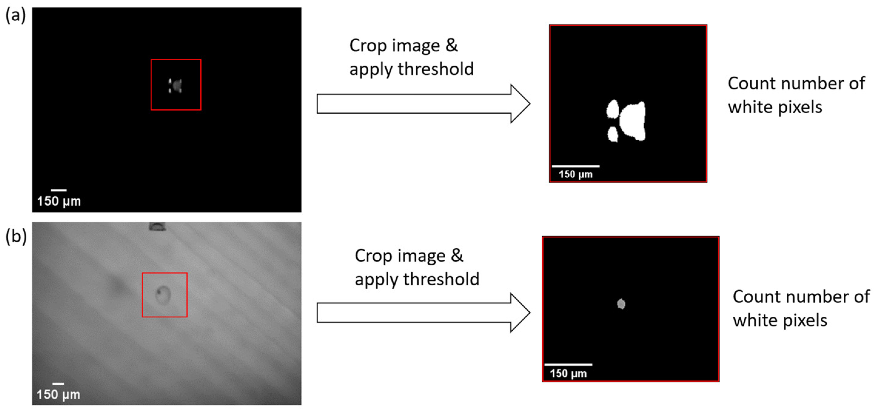 Particle Detection in Free-Falling Nanoliter Droplets