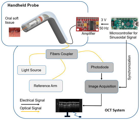 A Novel Small Form-Factor Handheld Optical Coherence Tomography Probe ...