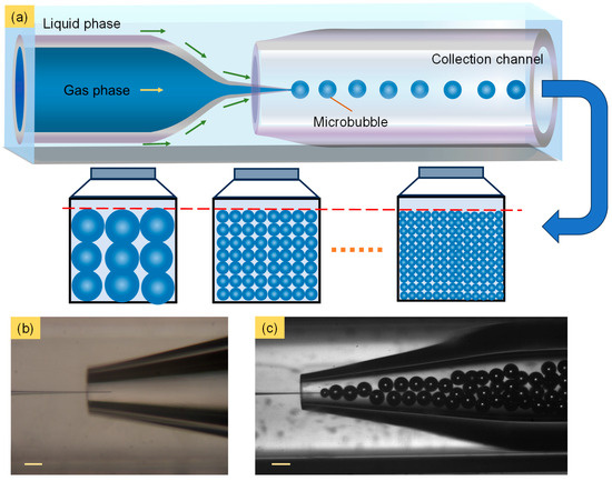 High-Speed Generation of Microbubbles with Constant Cumulative ...