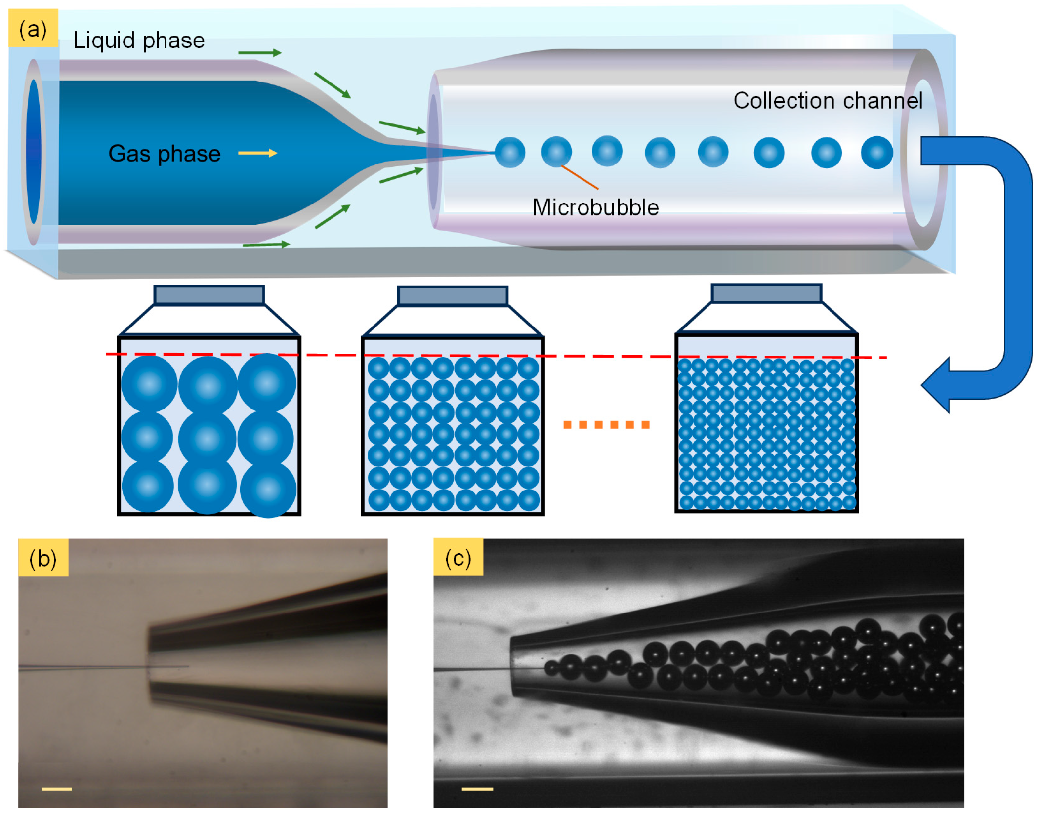 High-Speed Generation of Microbubbles with Constant Cumulative ...