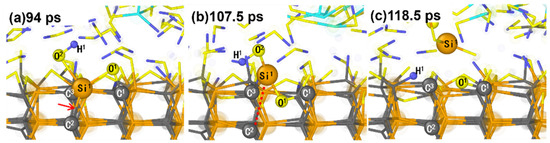 Atomistic Removal Mechanisms of SiC in Hydrogen Peroxide Solution