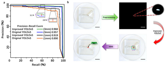 Magnetic Controlled Microrobot Real Time Detection And Tracking