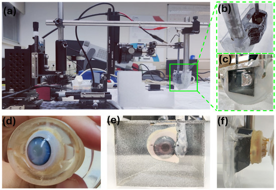 Harnessing Standing Sound Waves to Treat Intraocular Blood Cell ...