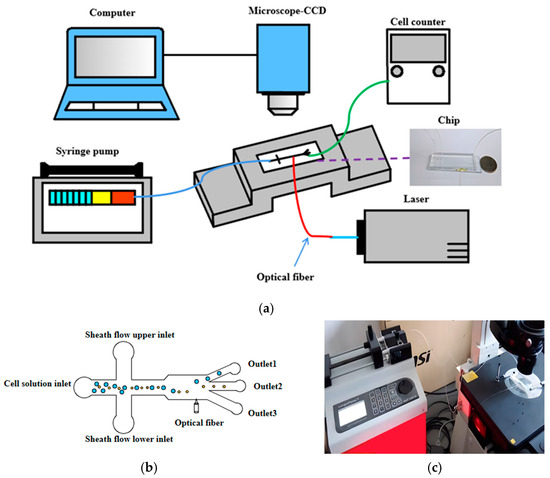 Micromachines | Free Full-Text | Label-Free Continuous Cell Sorting ...
