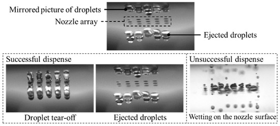 Highly Parallel Droplet Dispensing Approach to Provide Homogeneous and ...
