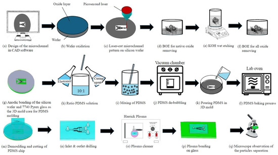 A New Silicon Mold Process for Polydimethylsiloxane Microchannels