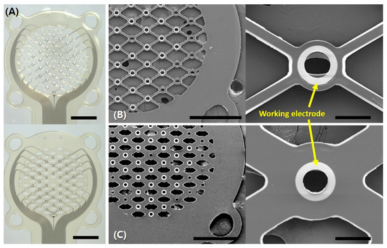 High-Porosity Sieve-Type Neural Electrodes for Motor Function Recovery ...