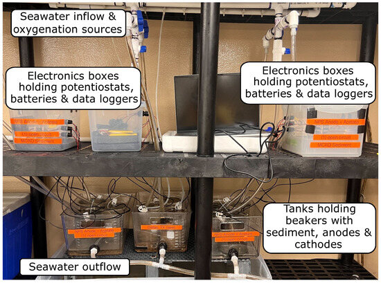 Experimental Proof of Principle of 3D-Printed Microfluidic Benthic ...