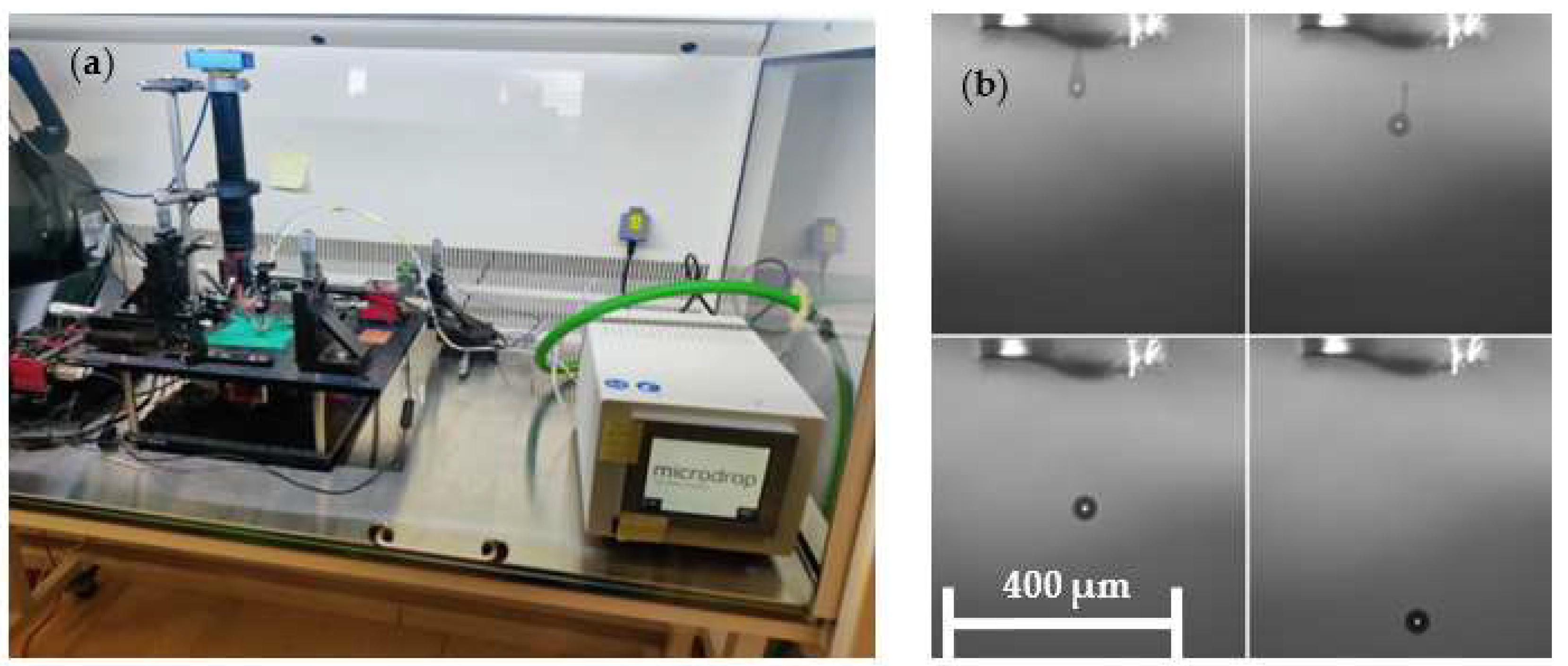 Integration of Sm2Co17 Micromagnets in a Ferromagnetic Multipolar ...