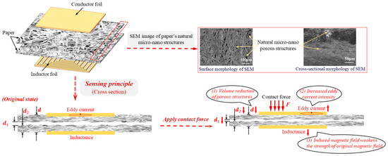 Inductive Paper-Based Flexible Contact Force Sensor Utilizing Natural Micro-Nanostructures of ...