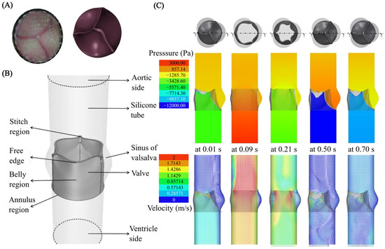 Micromachines | Free Full-Text | Computational Fluid–Structure Interaction in Microfluidics