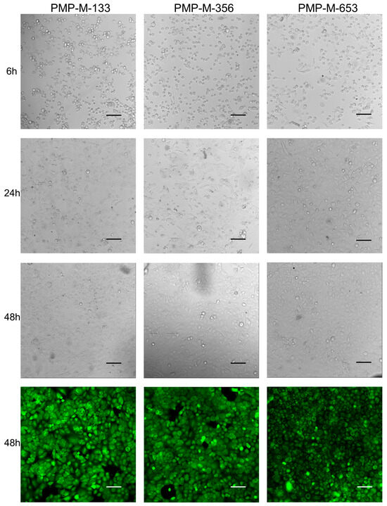 Prototyping in Polymethylpentene to Enable Oxygen-Permeable On-a-Chip ...