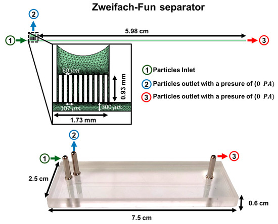 Zweifach–Fung Microfluidic Device for Efficient Microparticle ...