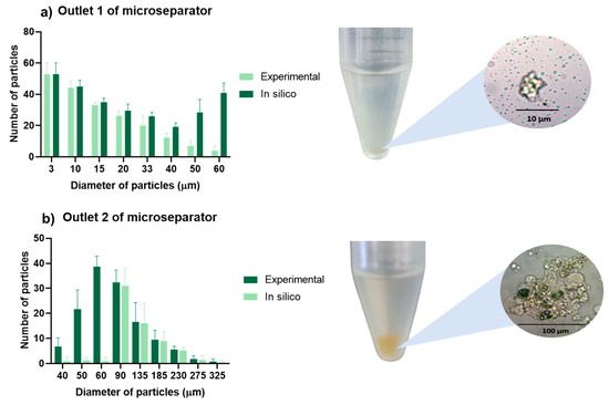 Micromachines | Free Full-Text | Zweifach–Fung Microfluidic Device for ...