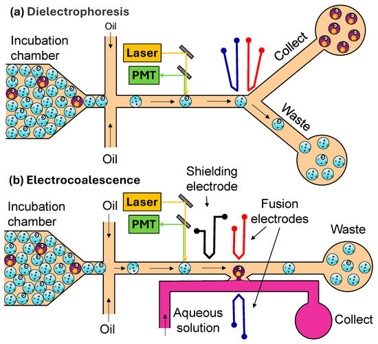 Micromachines | Free Full-Text | Droplet Microfluidics for High-Throughput Screening and ...