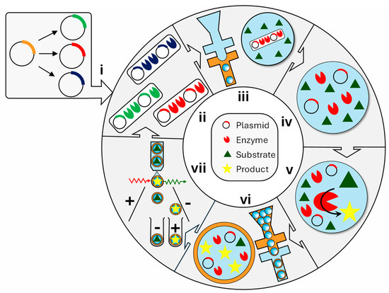 Droplet Microfluidics for High-Throughput Screening and Directed ...