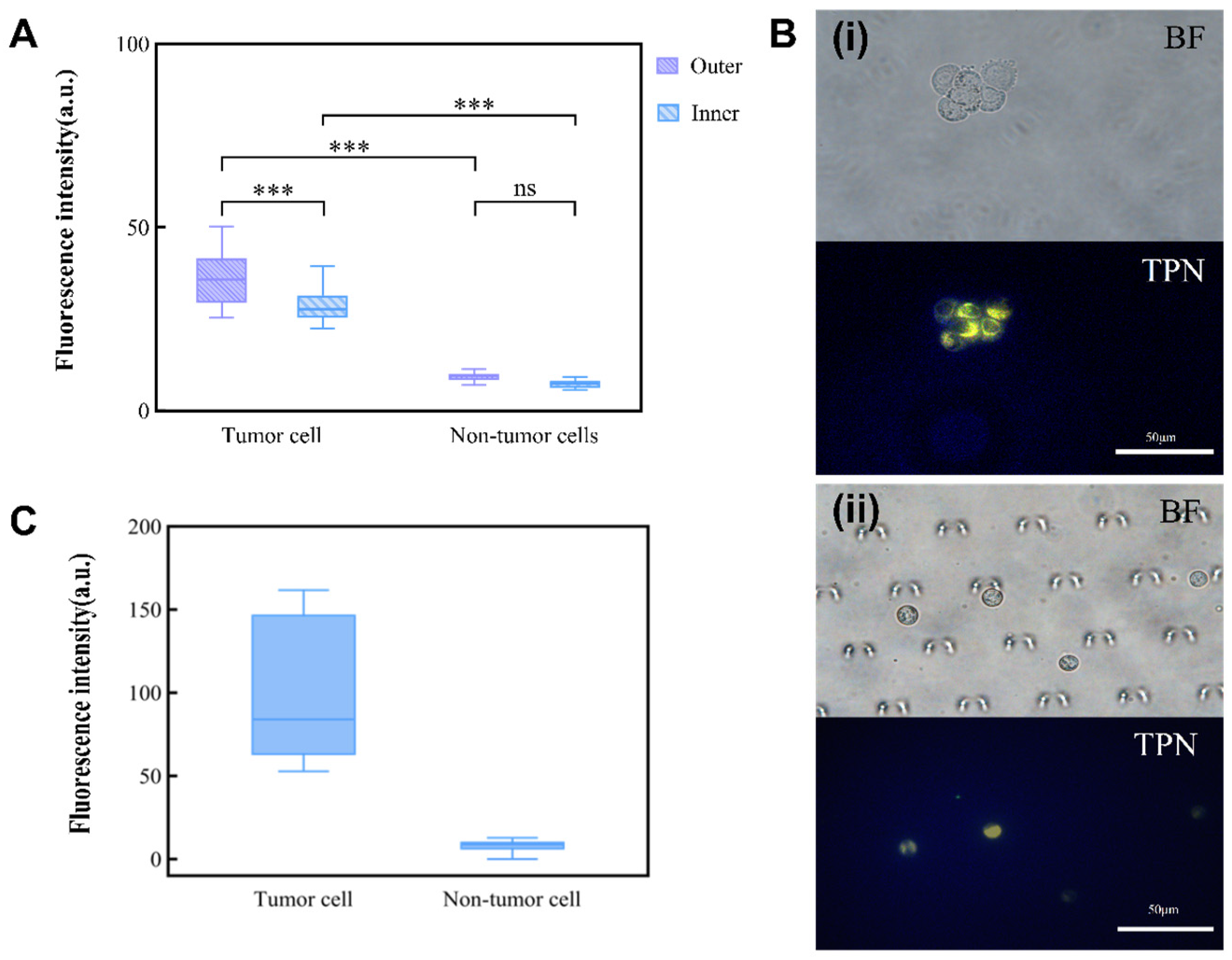 Research on the Method of Detecting TPN-Labeled Tumor Cells in Pleural ...