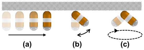 Optimal Motion Control of a Capsule Endoscope in the Stomach Utilizing ...