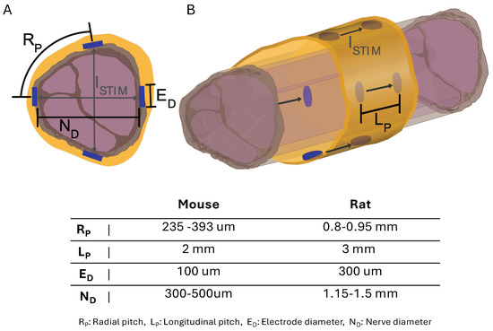 Multi-Channel Microscale Nerve Cuffs for Spatially Selective ...