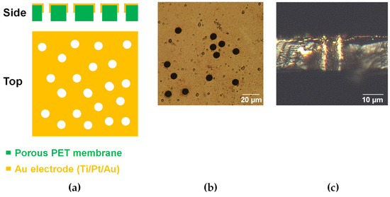 Fabrication of Two-Layer Microfluidic Devices with Porous Electrodes ...