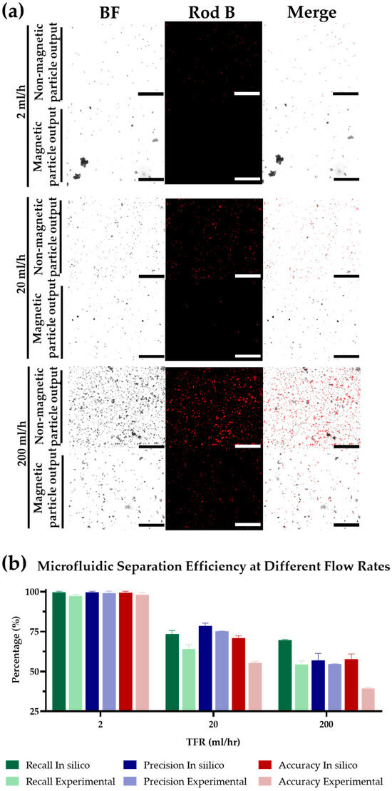 Enhancing Magnetic Micro- and Nanoparticle Separation with a Cost ...