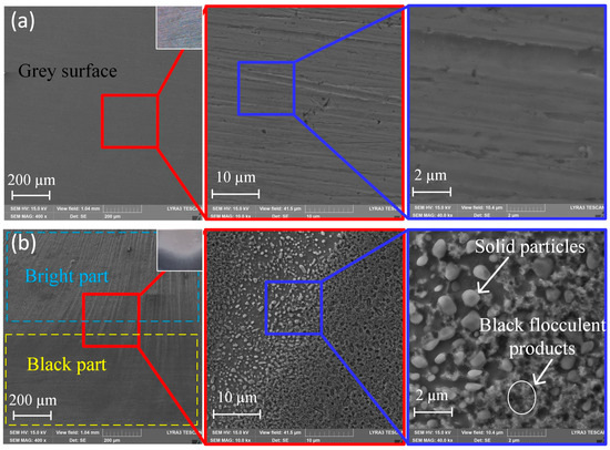 Investigation of the Surface Characteristics of GCr15 in ...