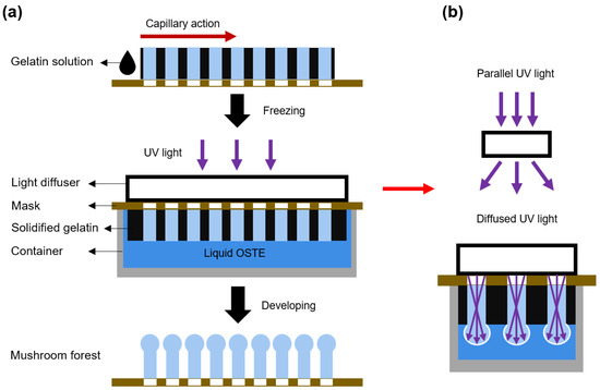 Off-Stoichiometry Thiol-Ene (OSTE) Micro Mushroom Forest: A ...