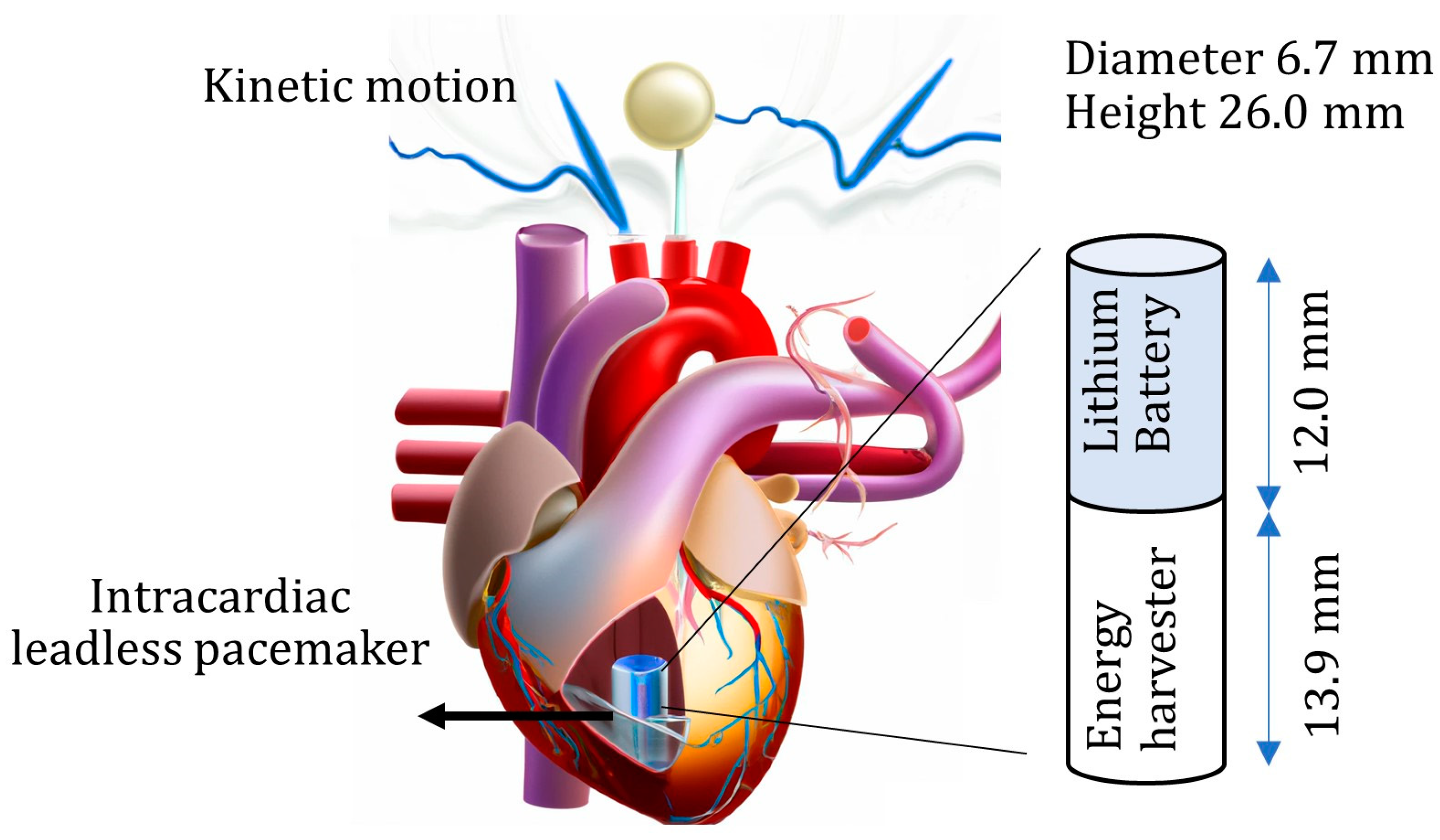 Conceptual Piezoelectric-Based Energy Harvester from In Vivo Heartbeats ...