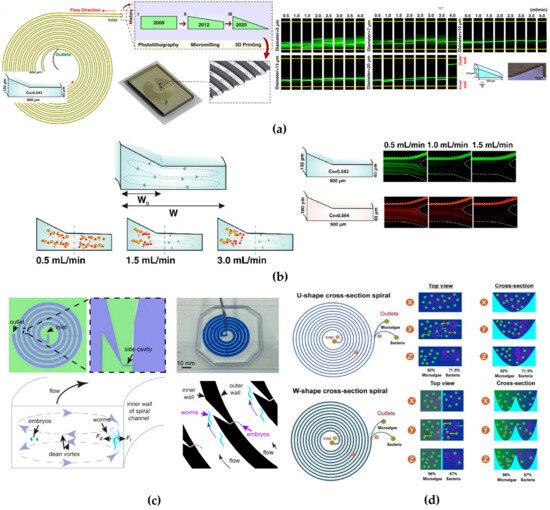 Lab-on-Chip Systems for Cell Sorting: Main Features and Advantages of Inertial Focusing in ...