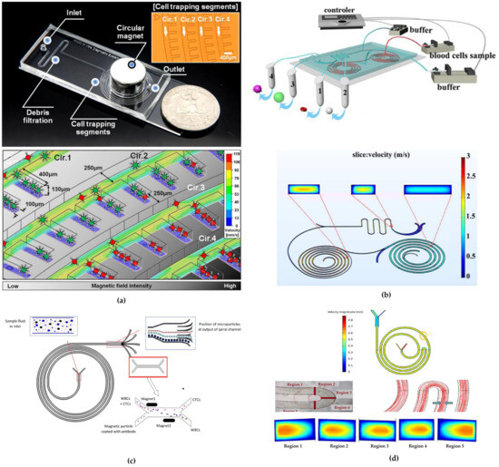 Lab-on-Chip Systems for Cell Sorting: Main Features and Advantages of Inertial Focusing in ...