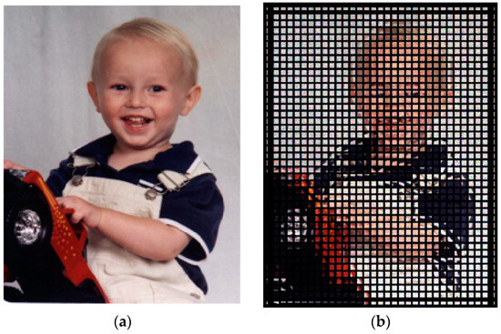 Design of a Novel Microlens Array and Imaging System for Light Fields