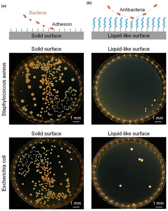 Rapid Construction of Liquid-like Surfaces via Single-Cycle Polymer Brush Grafting for Enhanced ...