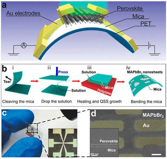 Recent Progress in Photodetectors: From Materials to Structures and ...