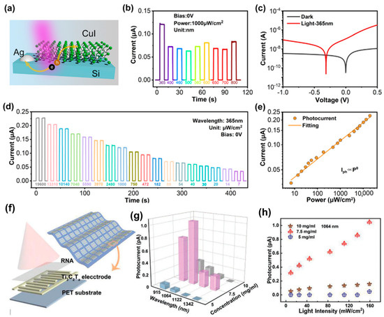 Recent Progress in Photodetectors: From Materials to Structures and ...