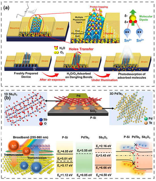 Recent Progress in Photodetectors: From Materials to Structures and ...