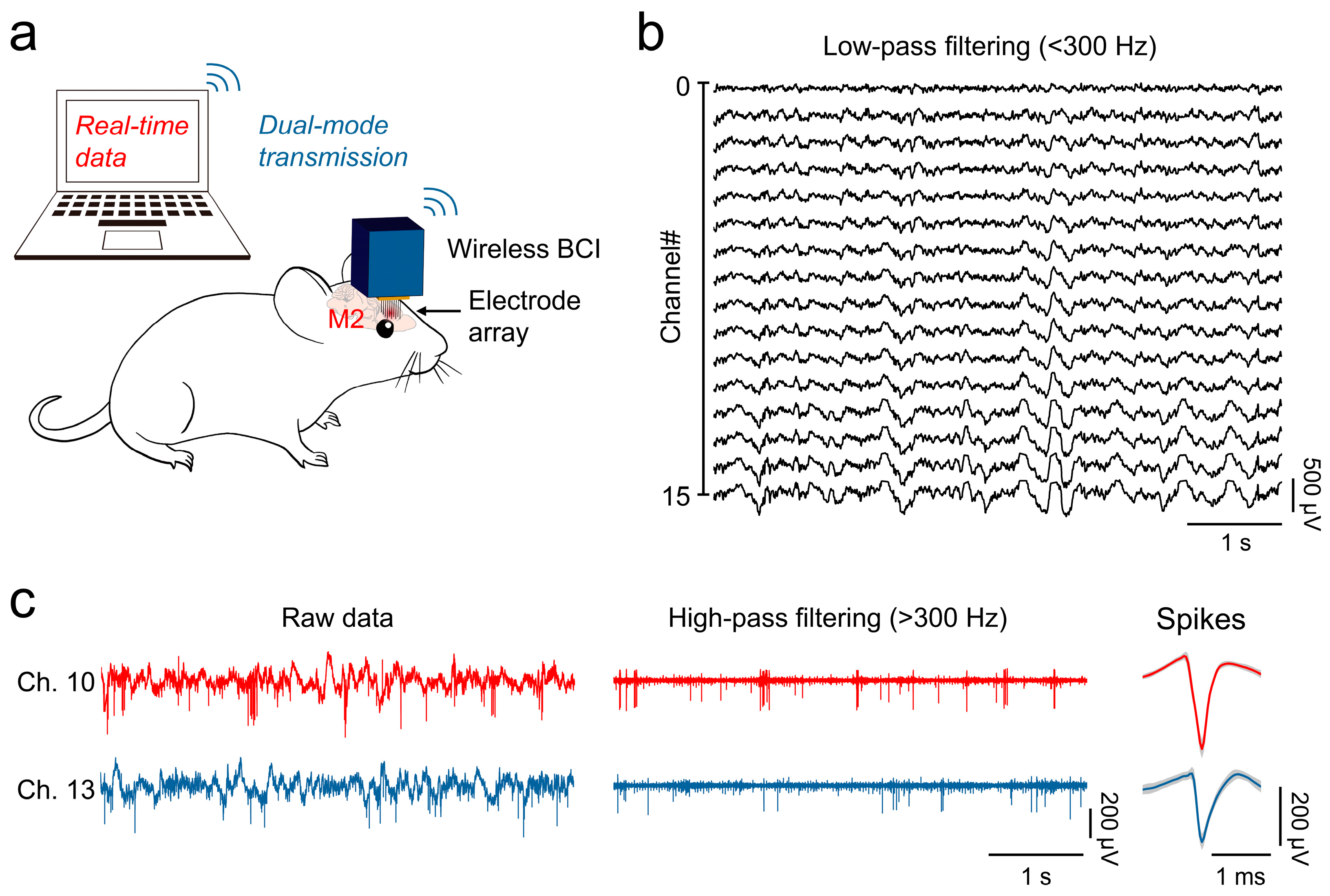 A Wireless Bi-Directional Brain–Computer Interface Supporting Both ...