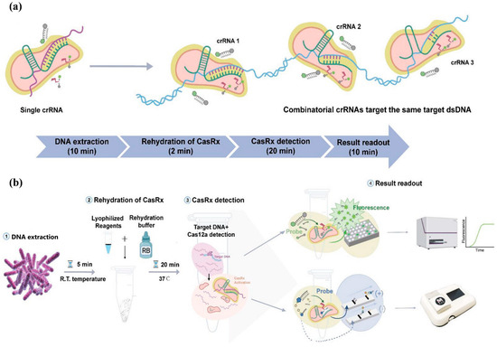 Recent Advances in CRISPR/Cas System-Based Biosensors for the Detection ...